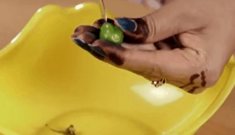 Masaledar Hot Green Bullet Chillies - Mints Recipes
